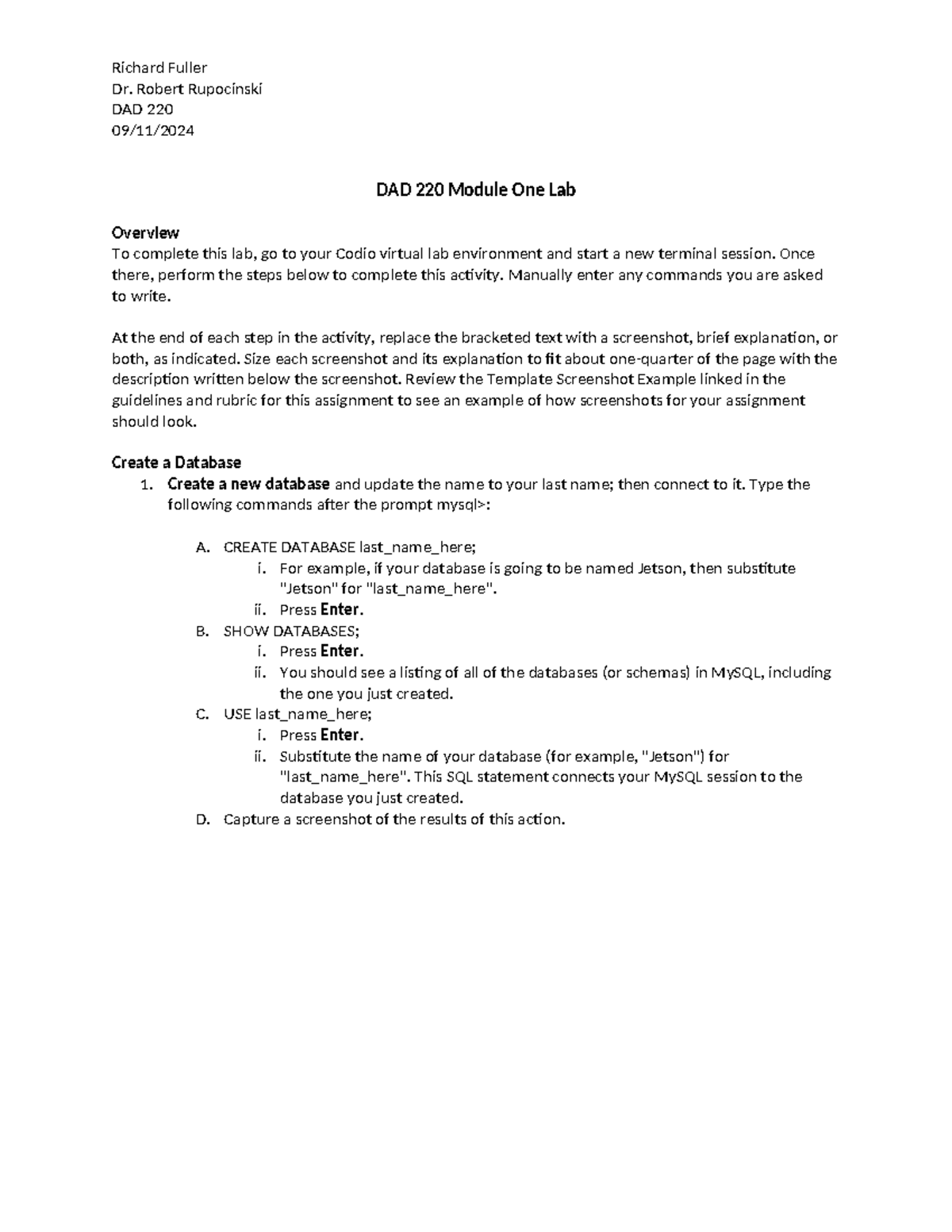 DAD 220 Module One Lab - Lab 1 - Dr. Robert Rupocinski DAD 220 09/11 ...