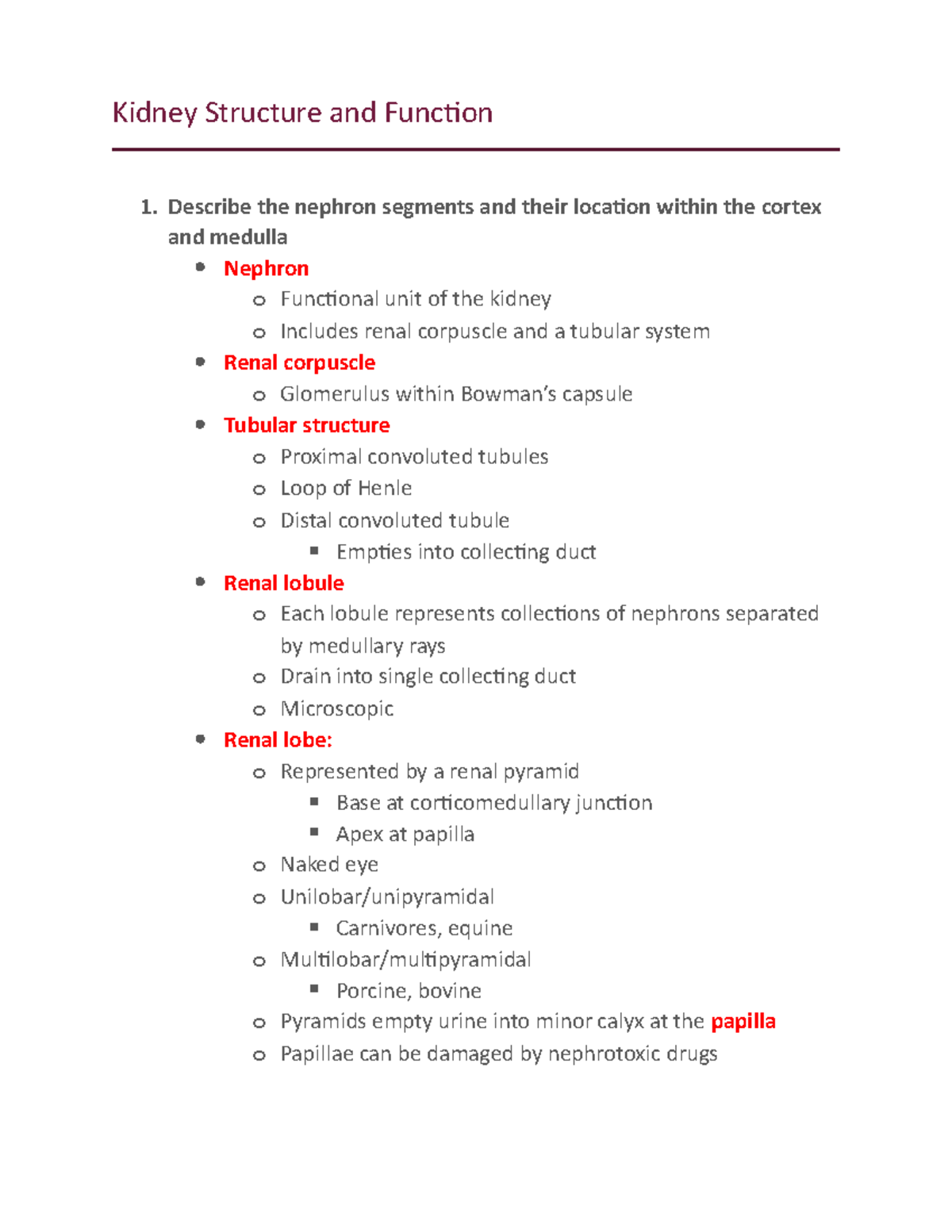 Kidney Structure and Function - Kidney Structure and Function Describe ...