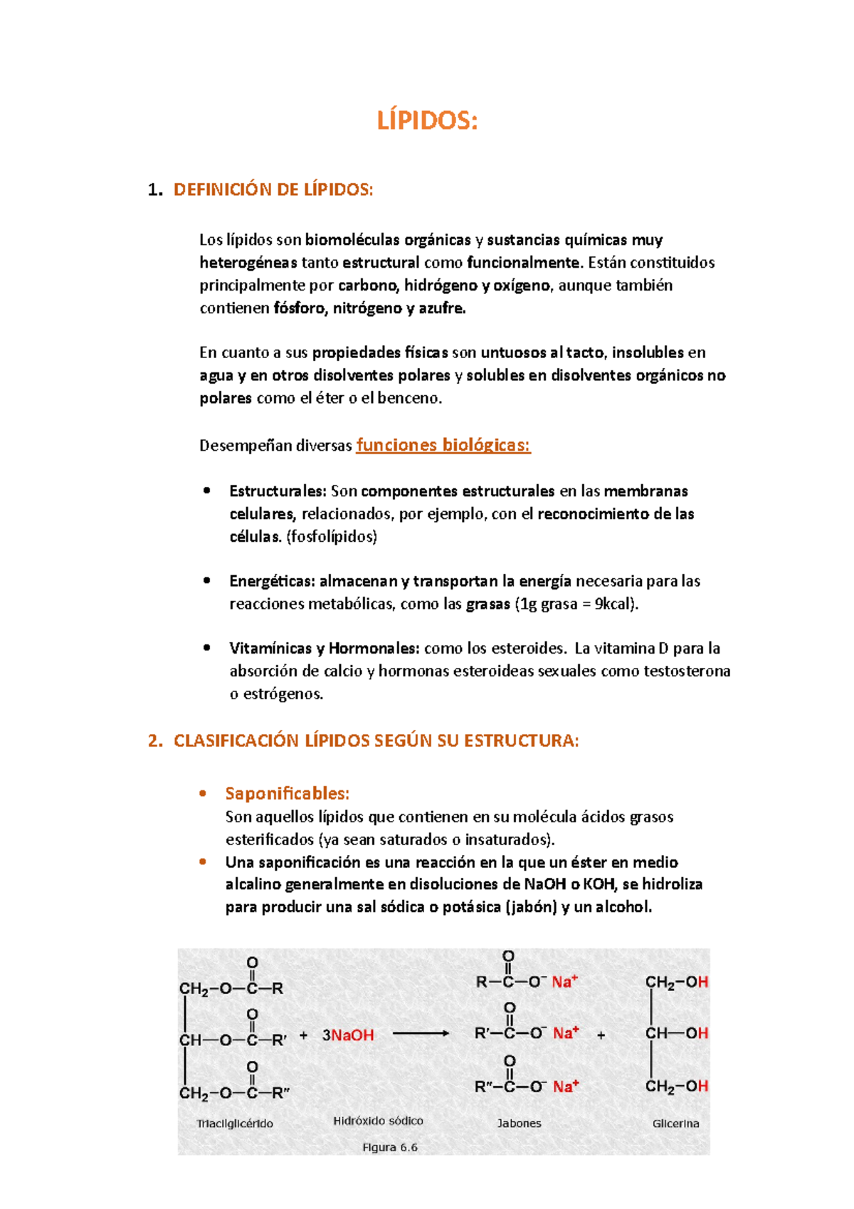 Lípidos - LÍPIDOS: 1. DEFINICIÓN DE LÍPIDOS: Los lípidos son ...