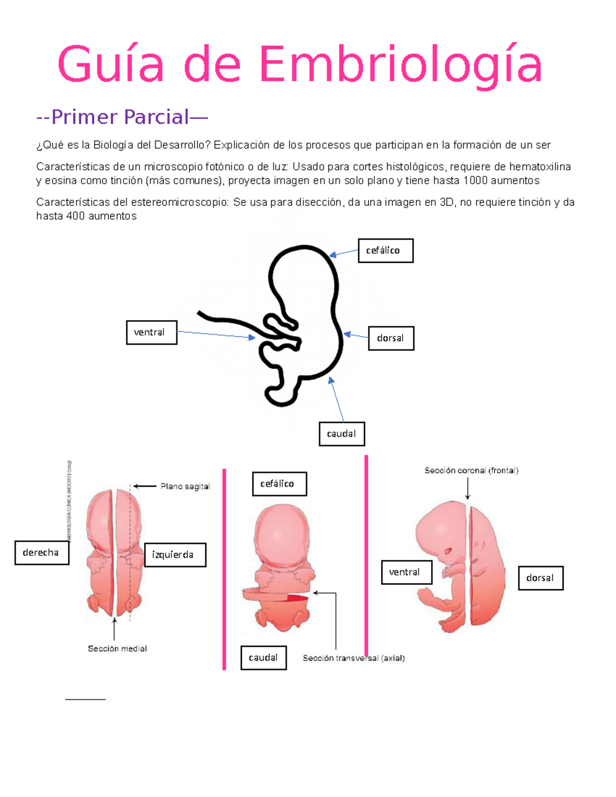 Guía de Embriología - guia primeros temas de primer parcial embriologia ...
