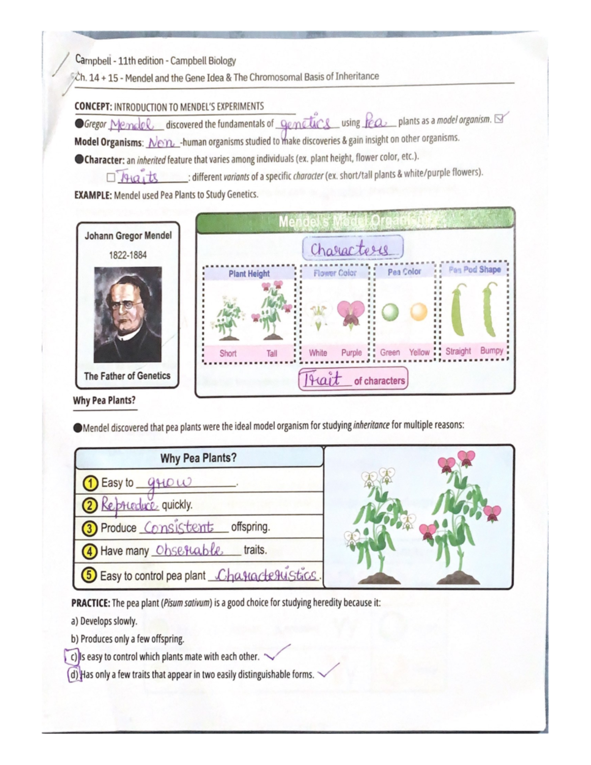 Scanned Documents 5 - Mendels law explaination - BIOL 110 - Studocu