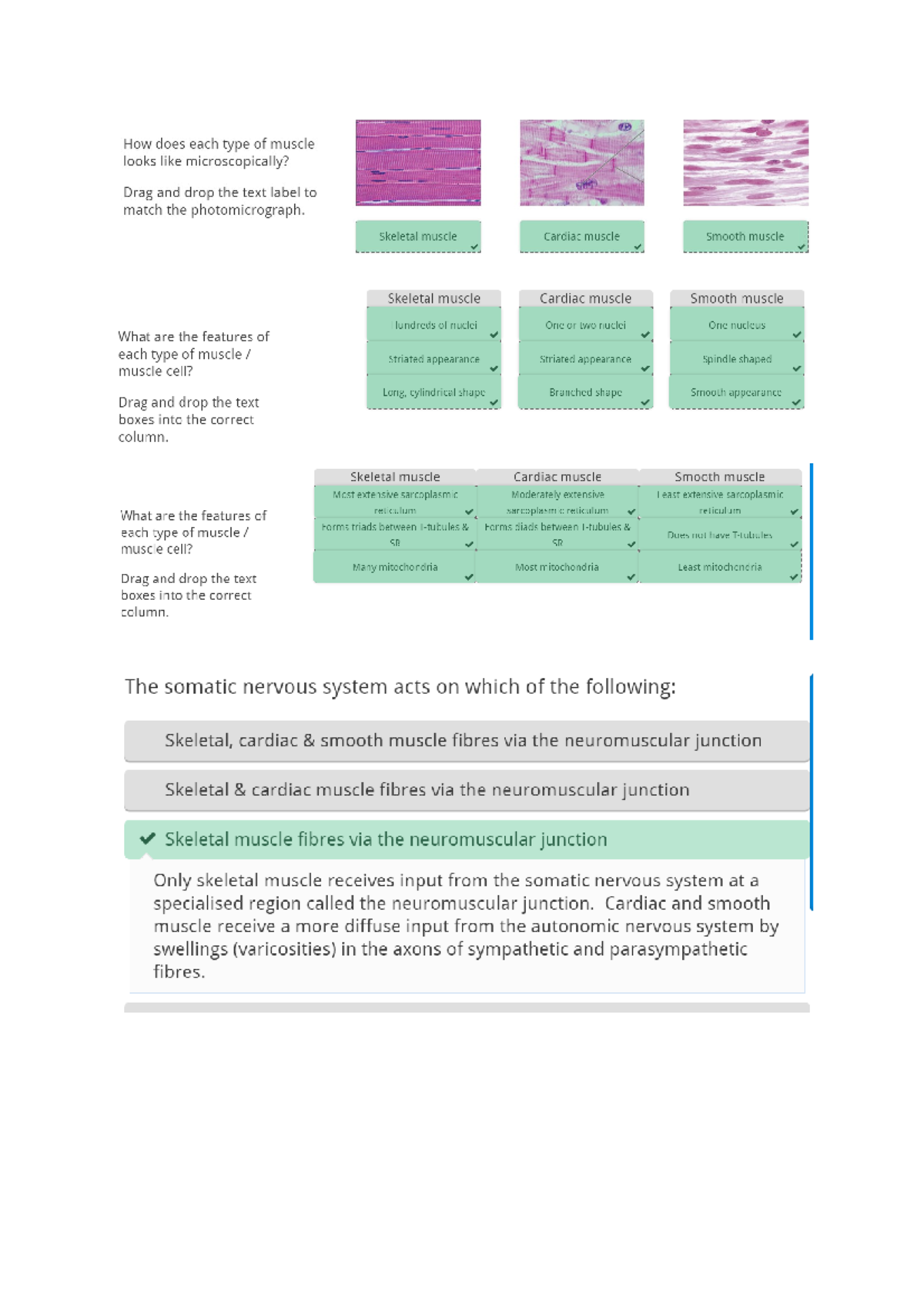 Muscle tutorial 4 Comparing muscle types - PHSL2121 - Studocu