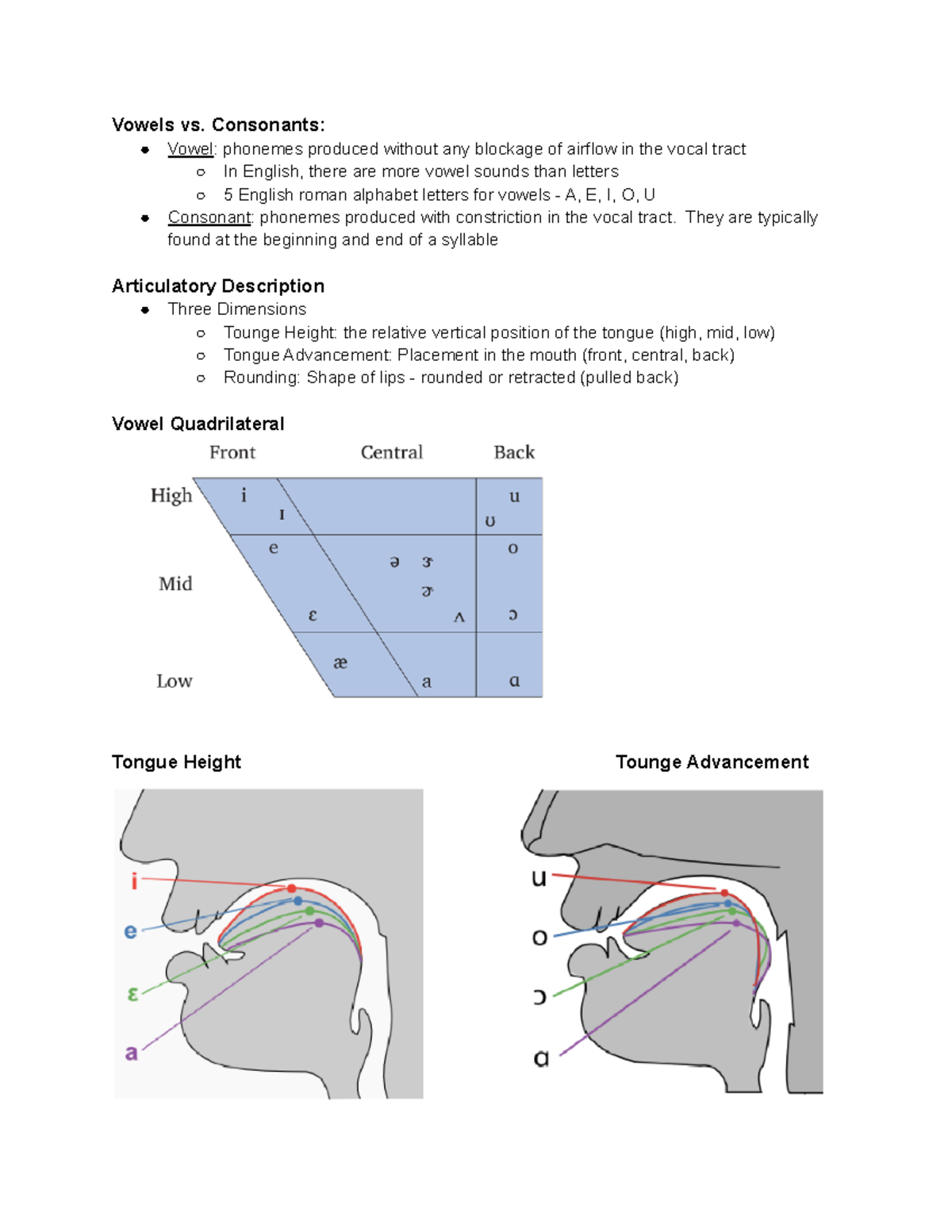 Chapter four - vowels - Vowels vs. Consonants: Vowel: phonemes produced ...