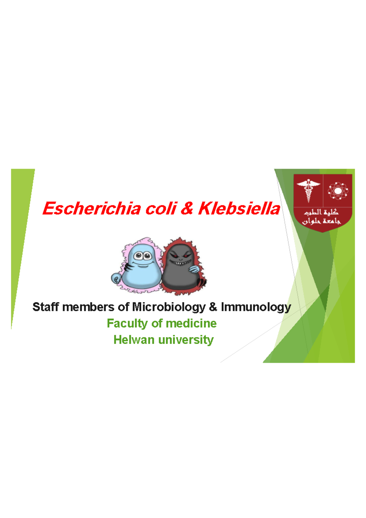 Open Escherichia coli Klebsiella lab 2022 (2) 5 - Escherichia coli ...