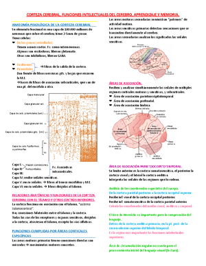 Cap 55 reflejos resumen - CAPÍTULO 55 GUYTON Y HALL ed 13 ° Funciones motoras de la médula ...