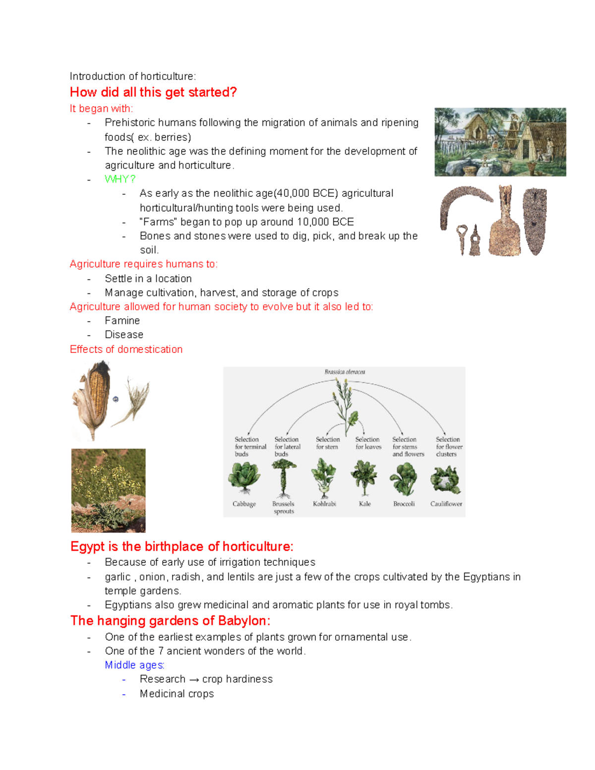Introduction of horticulture Unit 1 - Introduction of horticulture: How ...