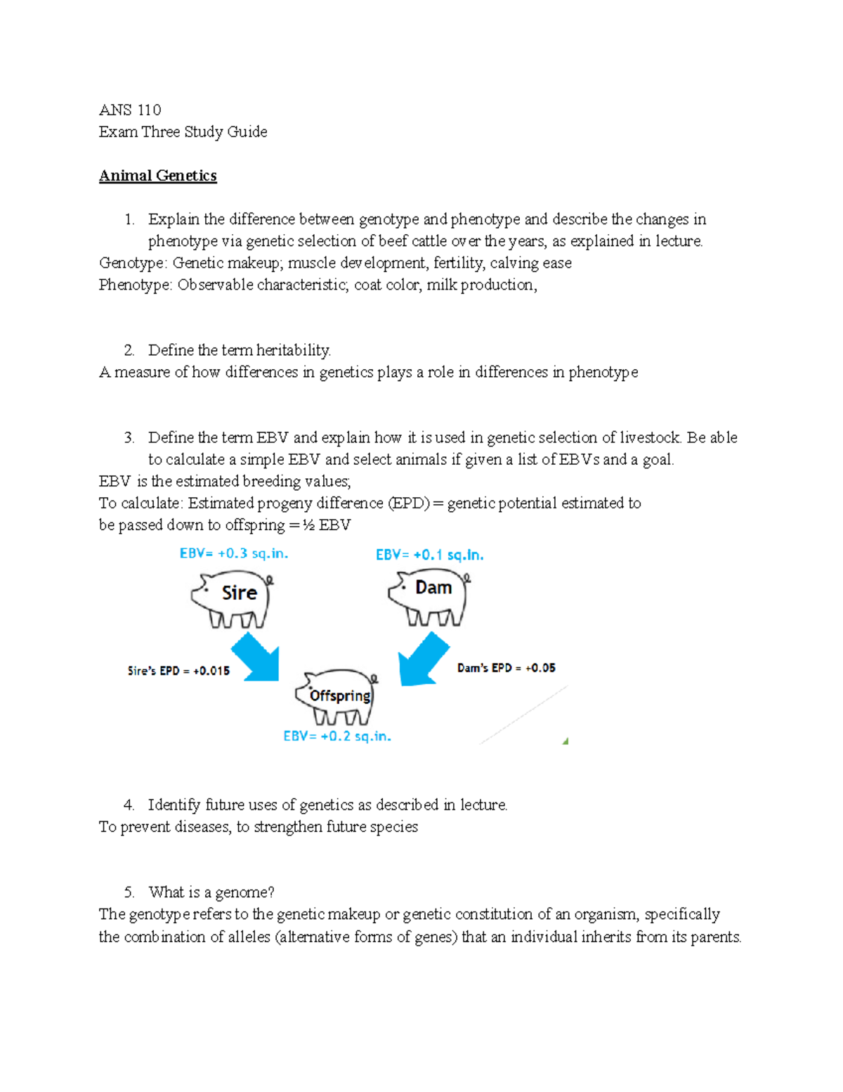 ANS 110 - Exam 3 Study Guide - ANS 110 Exam Three Study Guide Animal ...