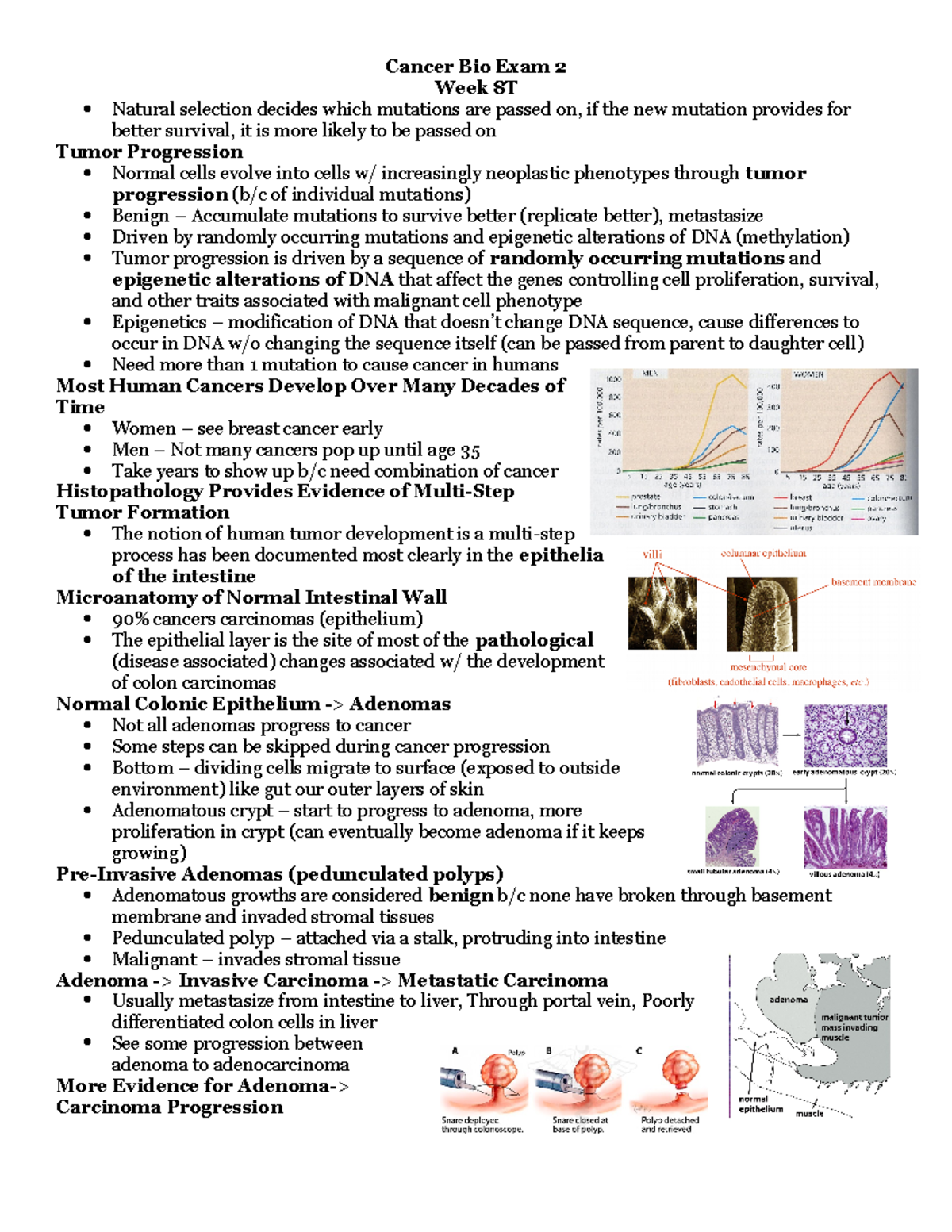 Cancer 8T - Huwe - Cancer Bio Exam 2 Week 8T Natural selection decides ...