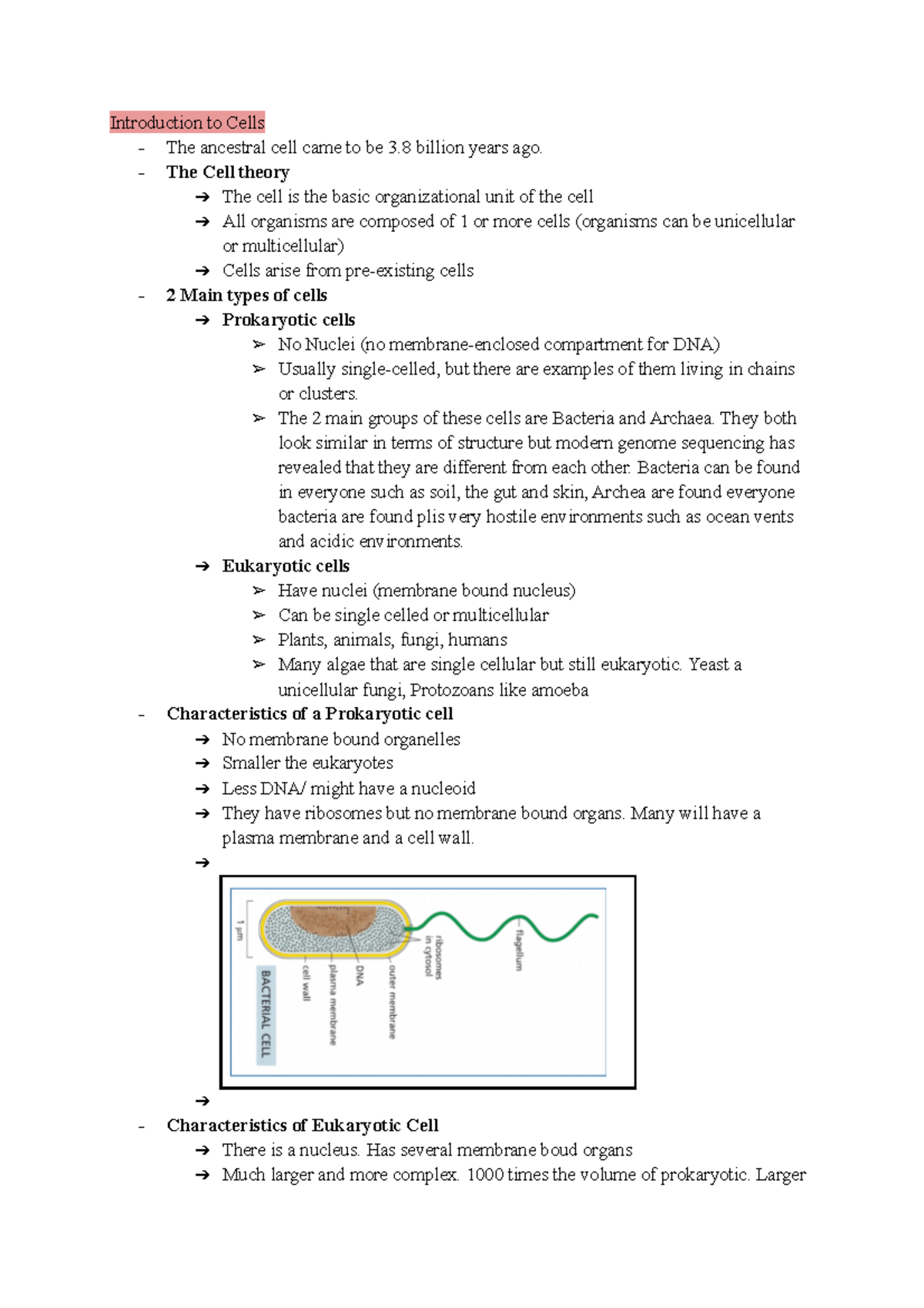23 Eukaryotic Cells Bioninja