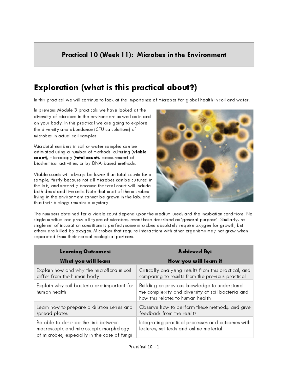 2021 Practical 10 Microbes in the Environment student lab manual ...