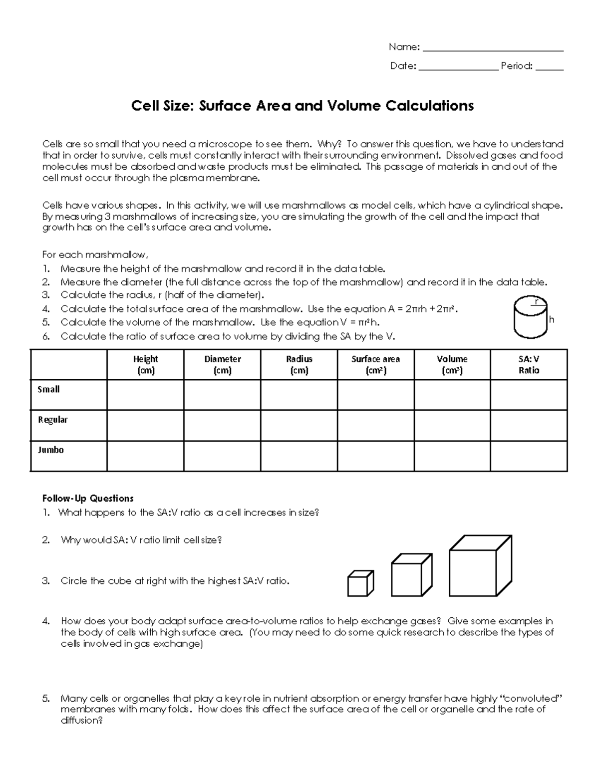 Cell Surface Areato Volume Ratio Activity-2 - Name ...