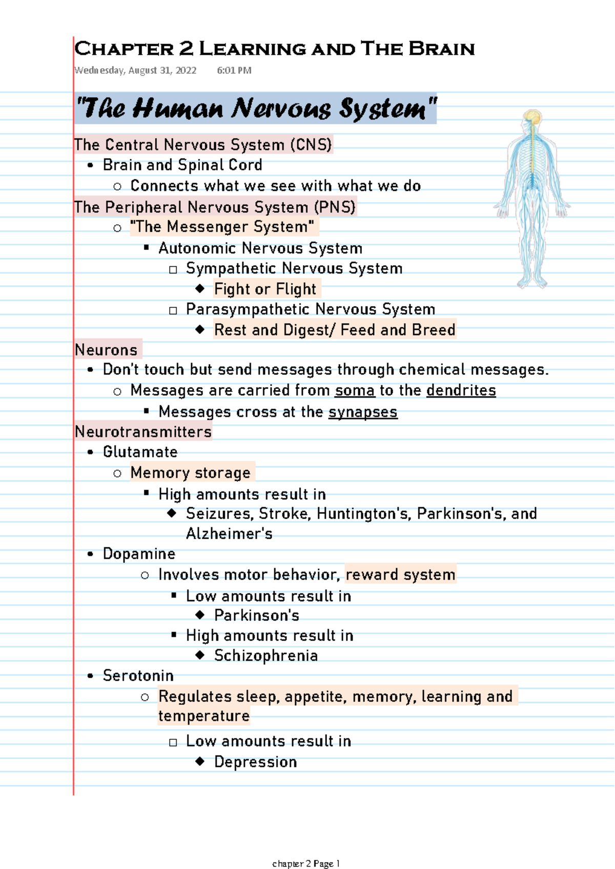 Chapter 2 - Taught by Dr. Mann - "The Human Nervous System" The Central ...