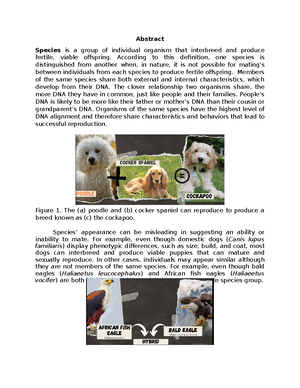 Module-sample-guide - Module Sample Template - Template 4. The Lesson ...