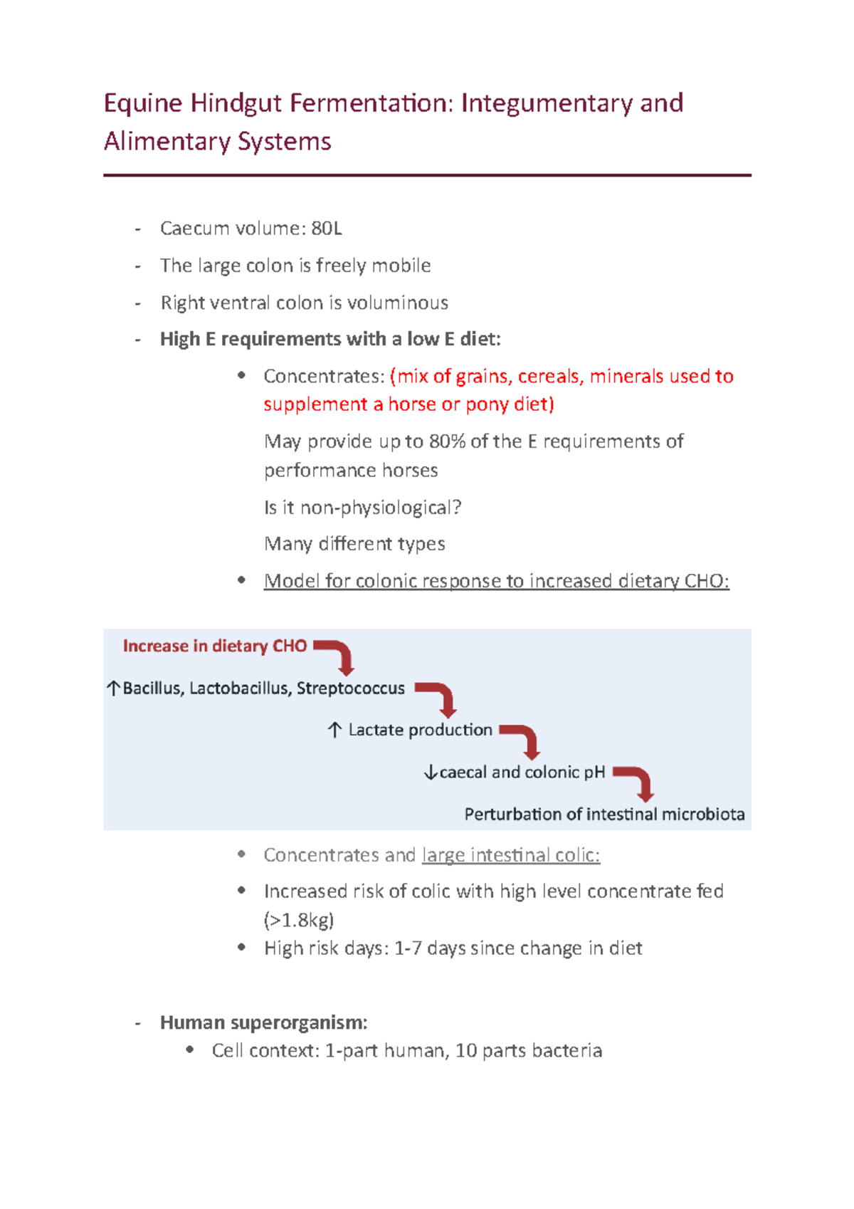 Equine Hindgut Fermentation IA - Equine Hindgut Fermentation ...