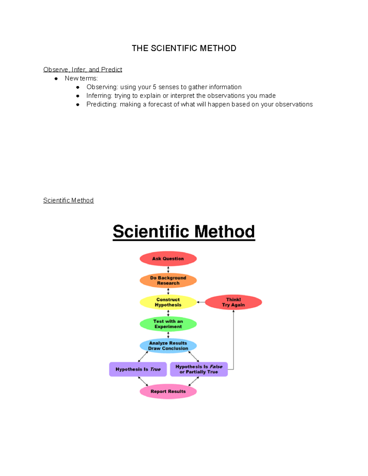 Physics Notes 1 The Scientific Method - THE SCIENTIFIC METHOD Observe ...