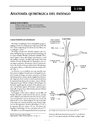 Asma Bronquial - Summary Anatomía - Asma Bronquial: Concepto: Un ...