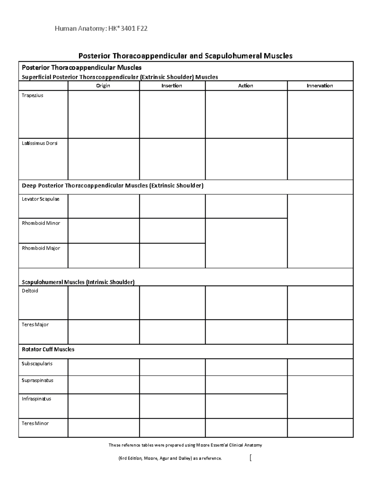 HK Muscles Practice Sheet - Posterior Thoracoappendicular and ...