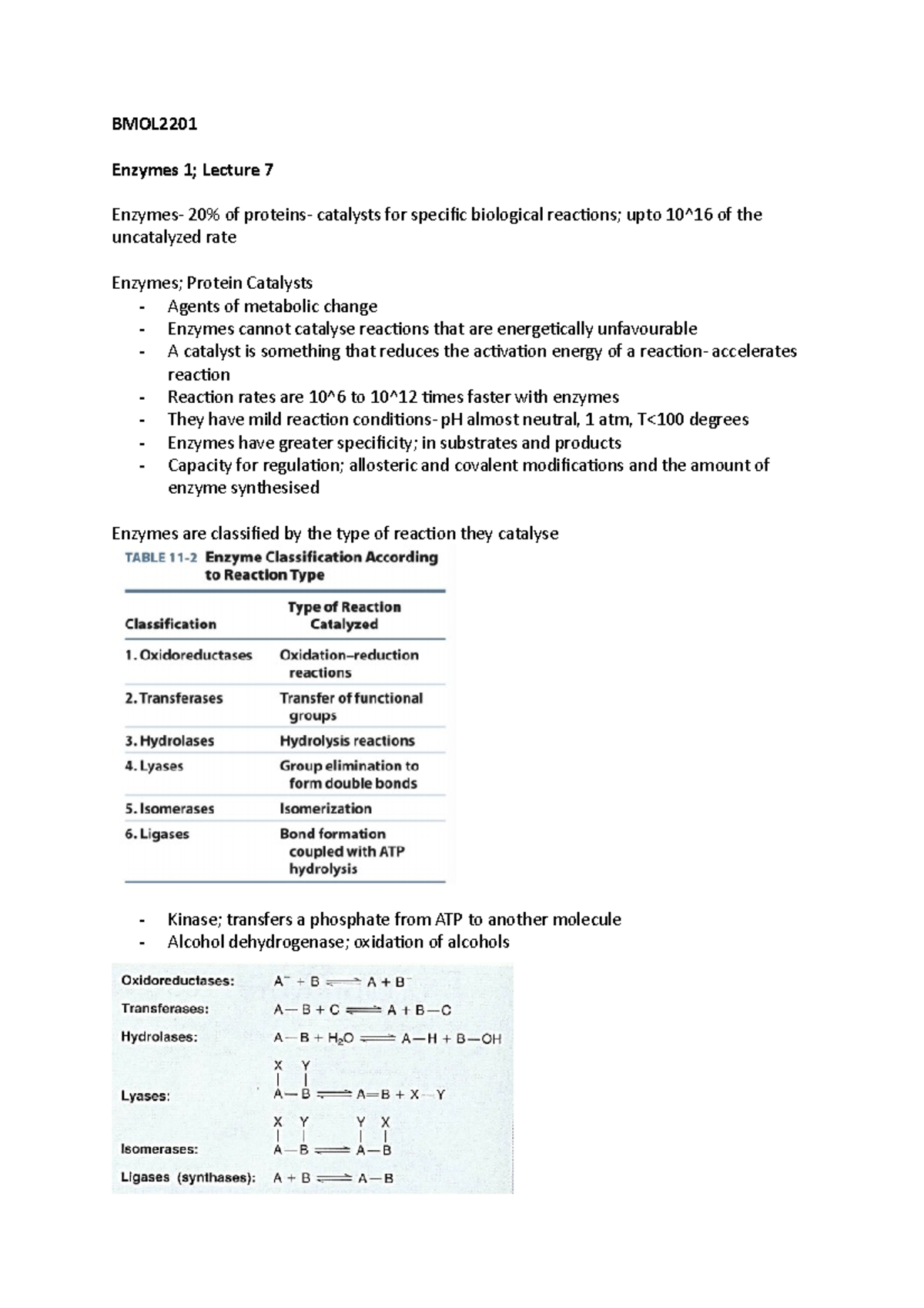 BMOL2201 notes - BMOL Enzymes 1; Lecture 7 Enzymes- 20% of proteins ...
