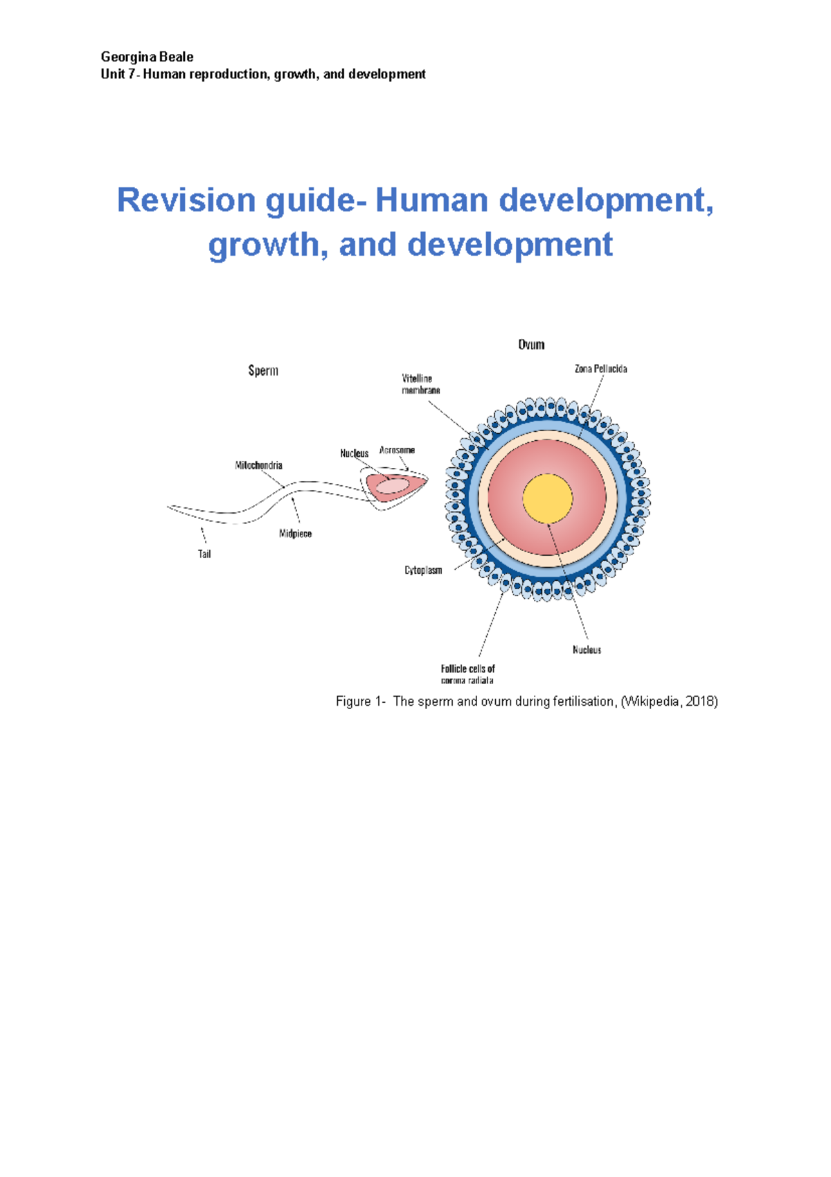 Unit 7 Human reproduction, growth and development (1) - Georgina Beale ...
