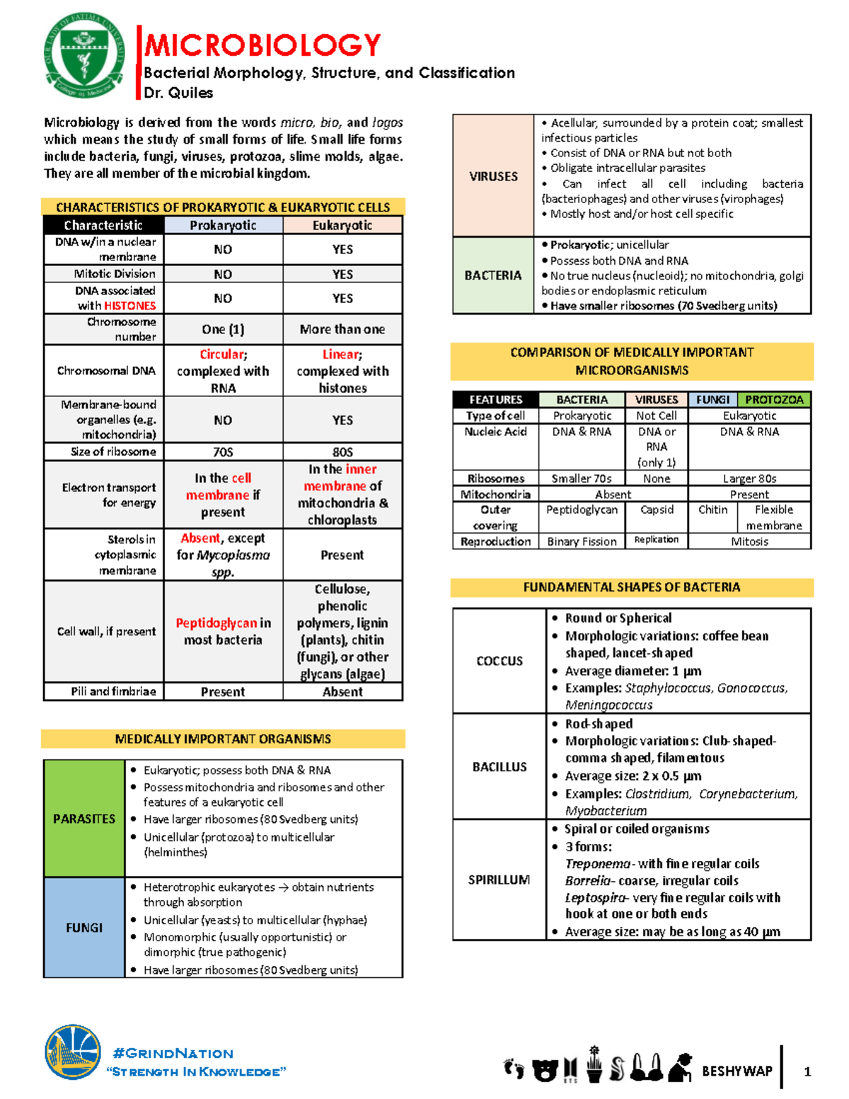 Microbiology 1 - Lecture Notes - Bacterial Morphology, Structure, and ...