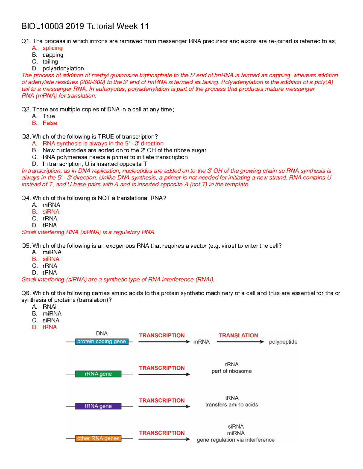 BIOL10003 2019 Tutorial Week 11 - Answers - BIOL10003 2019 Tutorial ...