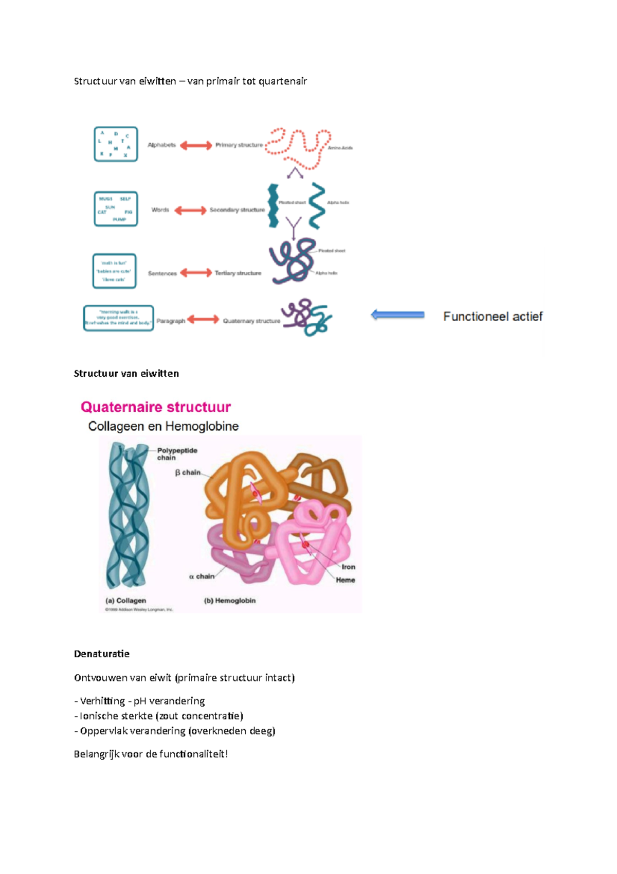 Les 1 eiwitten gezamelijk - Structuur van eiwitten – van primair tot ...