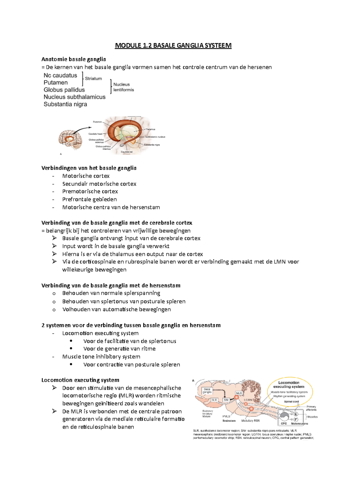 Module 1 - neuro - MODULE 1 BASALE GANGLIA SYSTEEM Anatomie basale ...