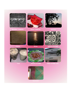 MMW Reviewer in Patterns in Nature - Chapter 1: Mathematics in Our ...