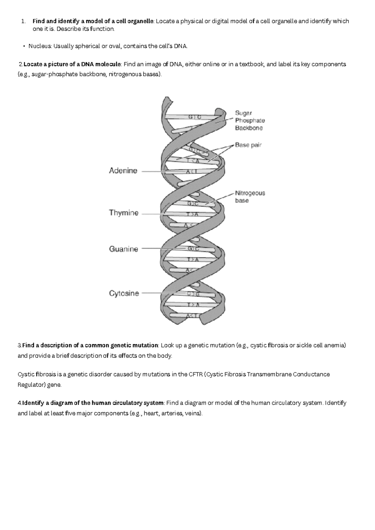 Science+Scavenger+Hunt - Nucleus: Usually spherical or oval, contains ...