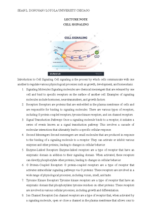 Chapter 7 Worksheet - Chapter 7 Worksheet The “central dogma of ...