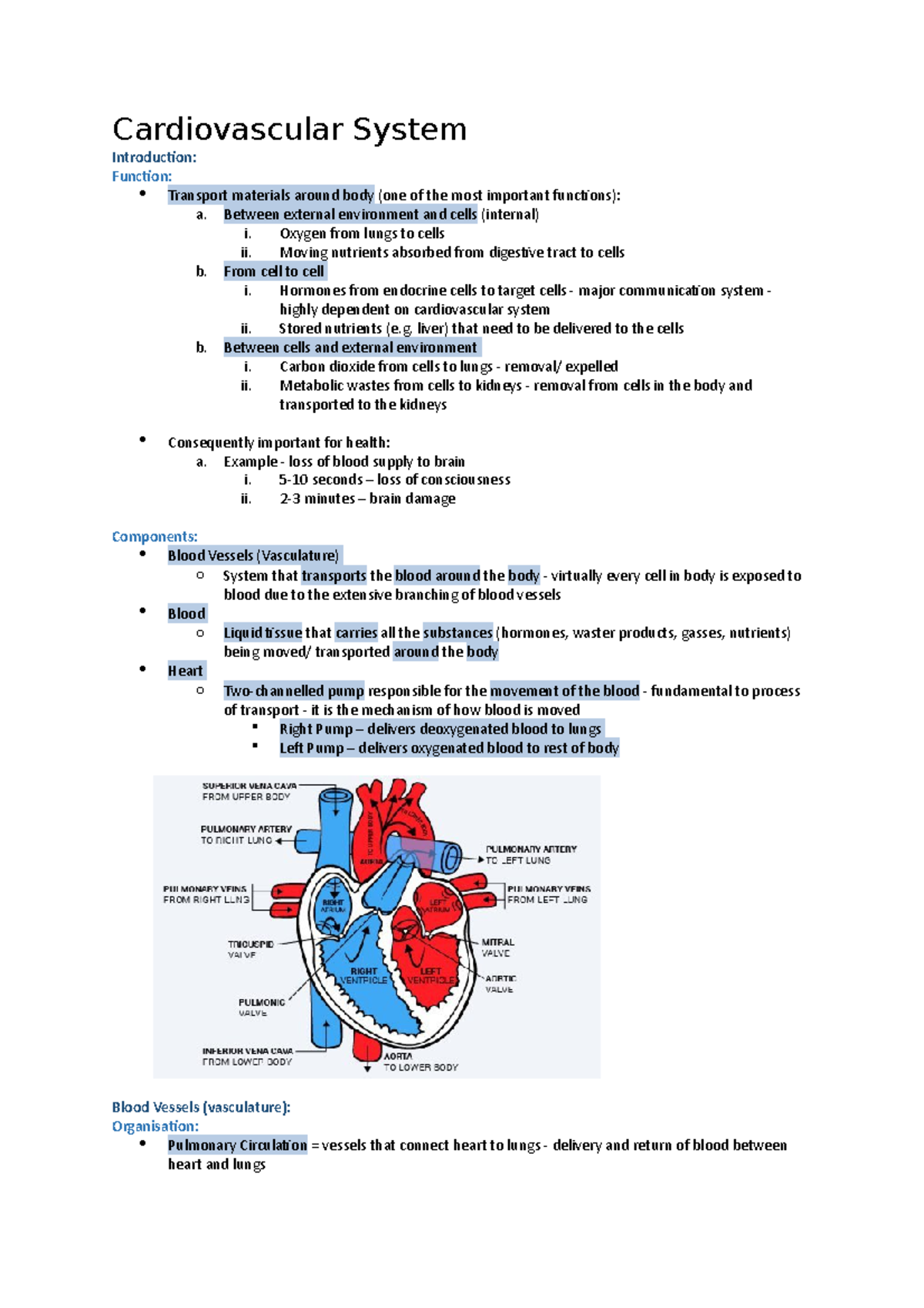 Cardiovascular System Study Notes - LQB488 - QUT - Studocu