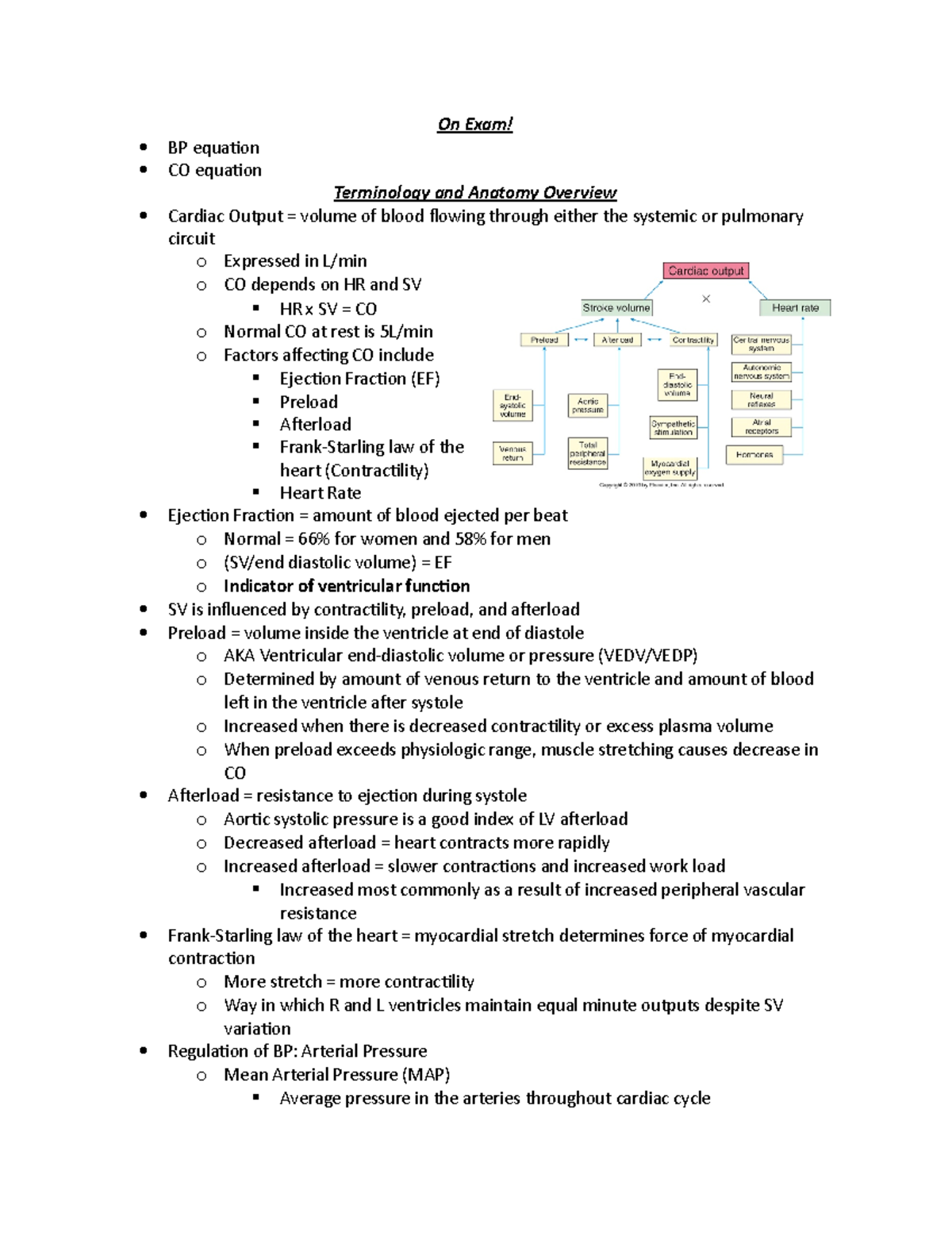 CV notes - On Exam! BP equation CO equation Terminology and Anatomy ...