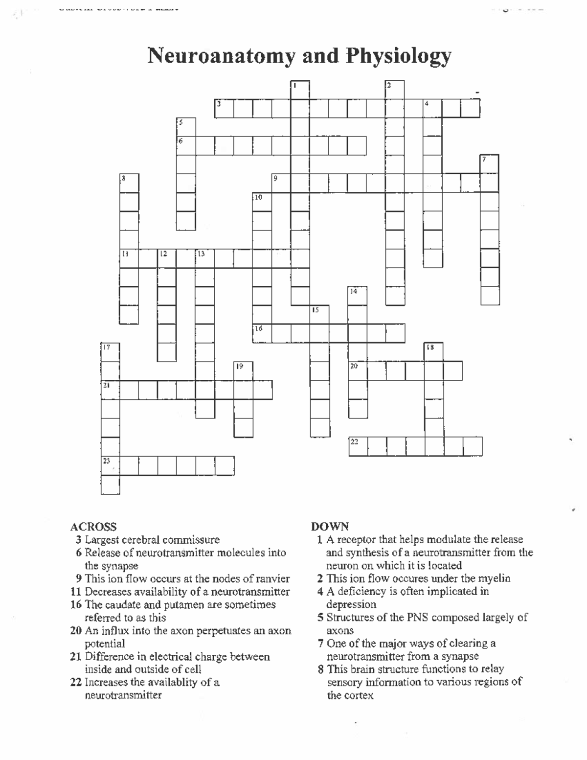 Neuroanatomy and Physiology Crossword Homework 2 - PSY 397 - Studocu