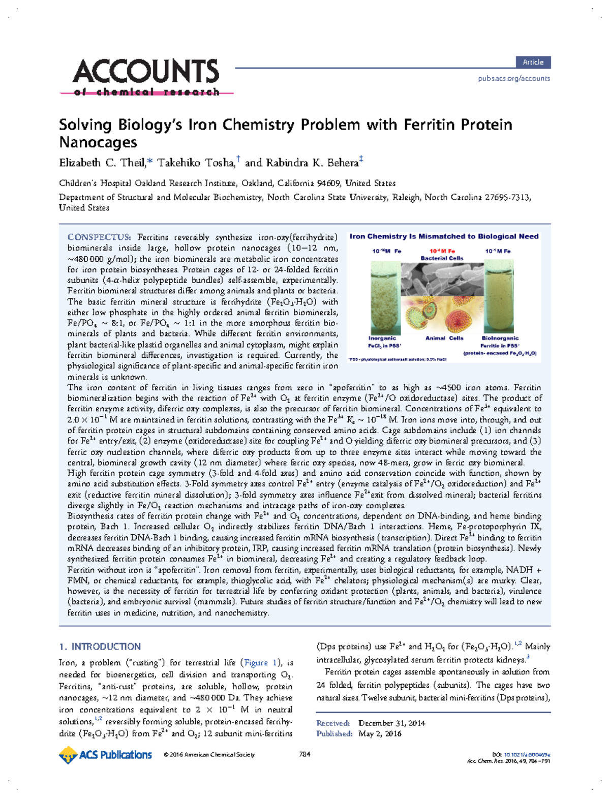 Solving Biology’s Iron Chemistry Problem with Ferritin Protein ...