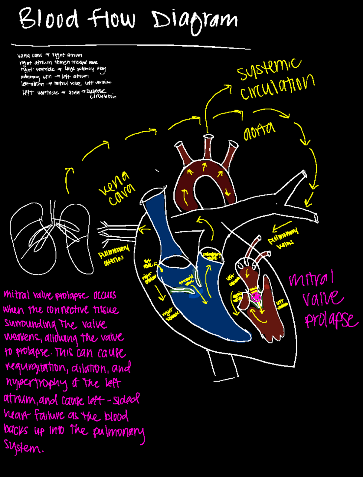 Diagram of blood flow - Blood flow Diagram rightventricle lungs ...
