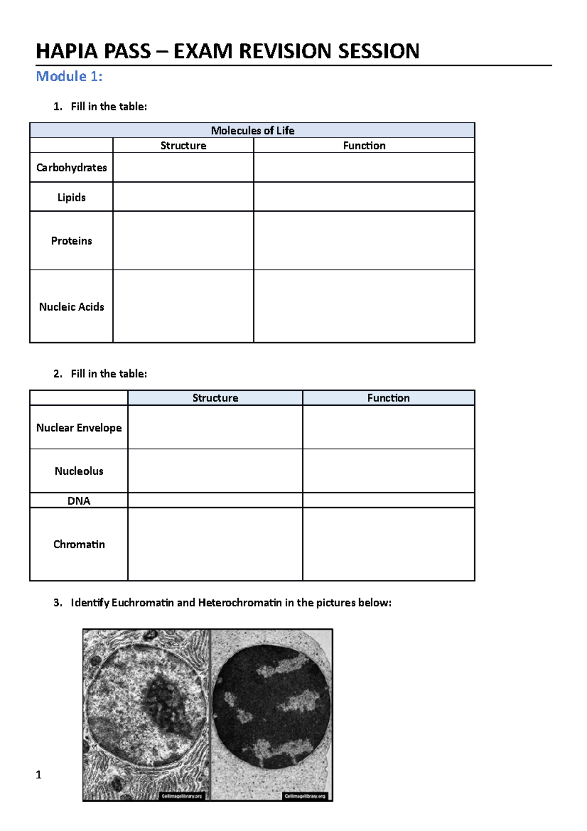 Revision - PASS Worksheet - HAPIA PASS – EXAM REVISION SESSION Module 1 ...