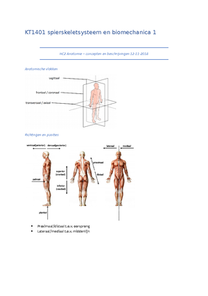 Anatomy lichaam - Skeletspieren & Biomechanica Anatomie van het ...