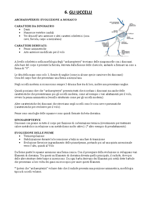 Anatomia Comparata 3 - Appunti - 3. CONDROITTI E OSTEITTI Alla fine del ...