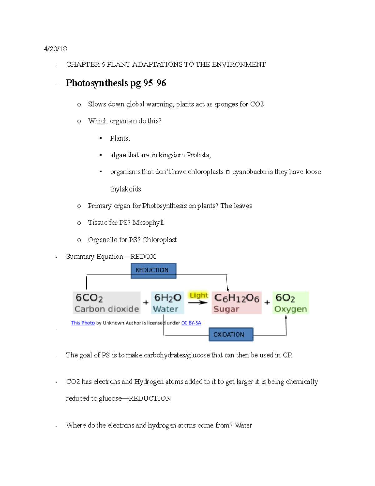 Ecology Final - 4/20/ - CHAPTER 6 PLANT ADAPTATIONS TO THE ENVIRONMENT ...