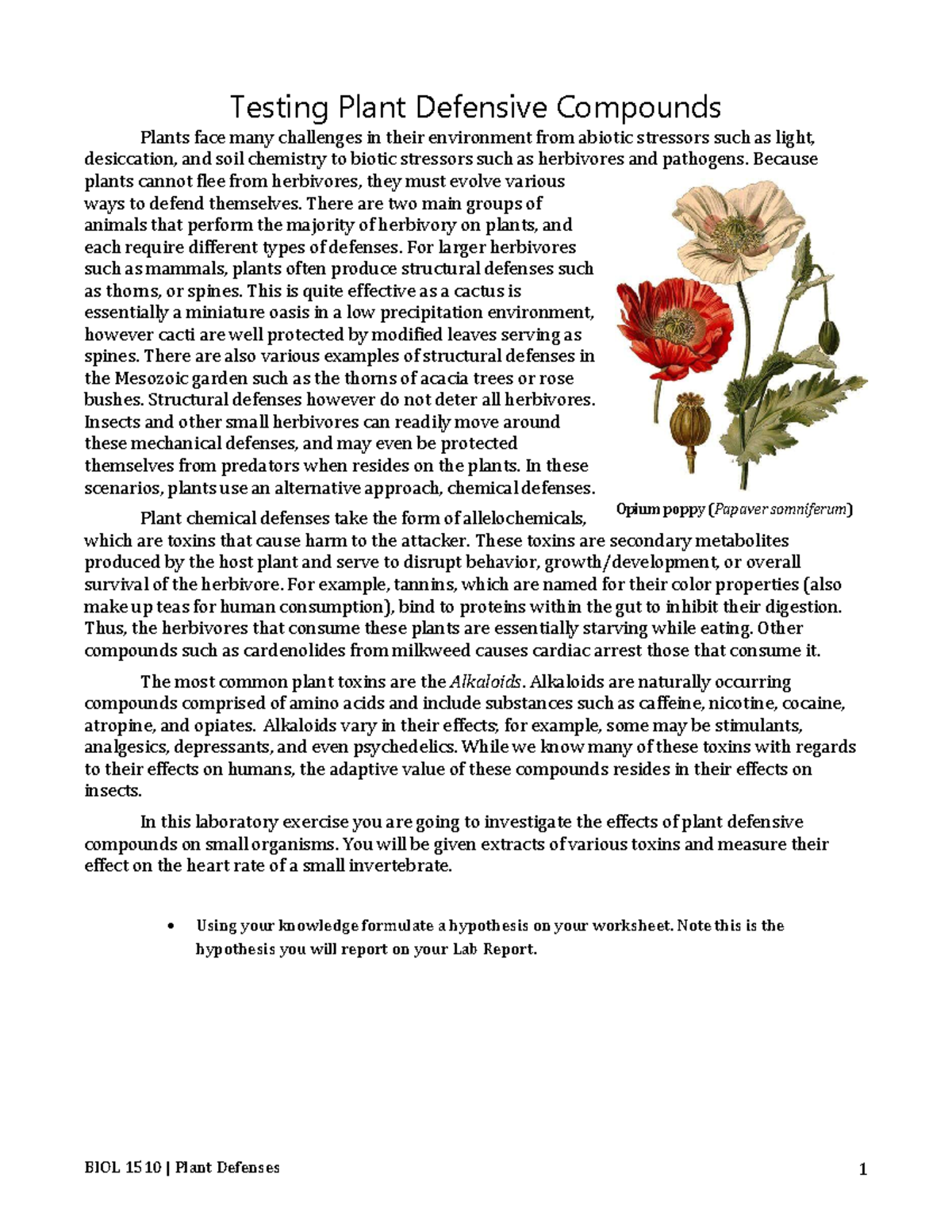 Plant Lab Exeriment - lab - Testing Plant Defensive Compounds Plants ...