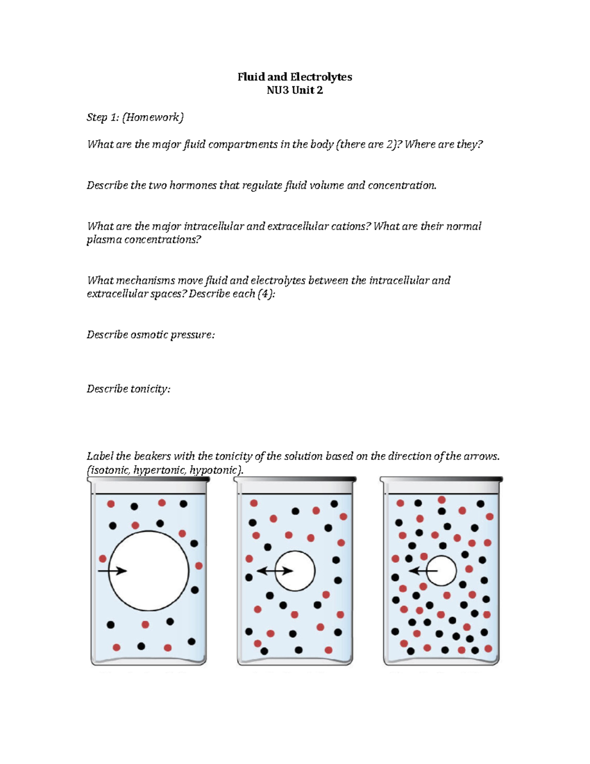 Fluid and Electrolytes Unit 2 - Fluid and Electrolytes NU3 Unit 2 Step ...