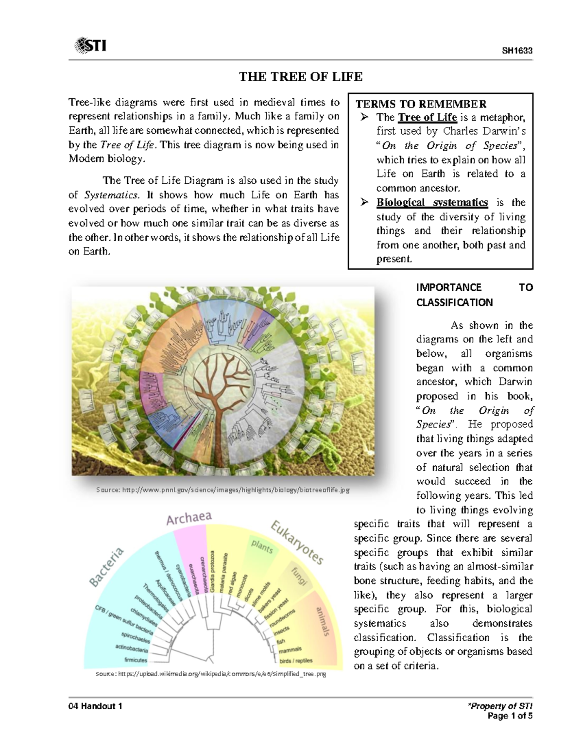 04 Handout 1 - The Tree of Life - 04 Handout 1 *Property of STI THE ...