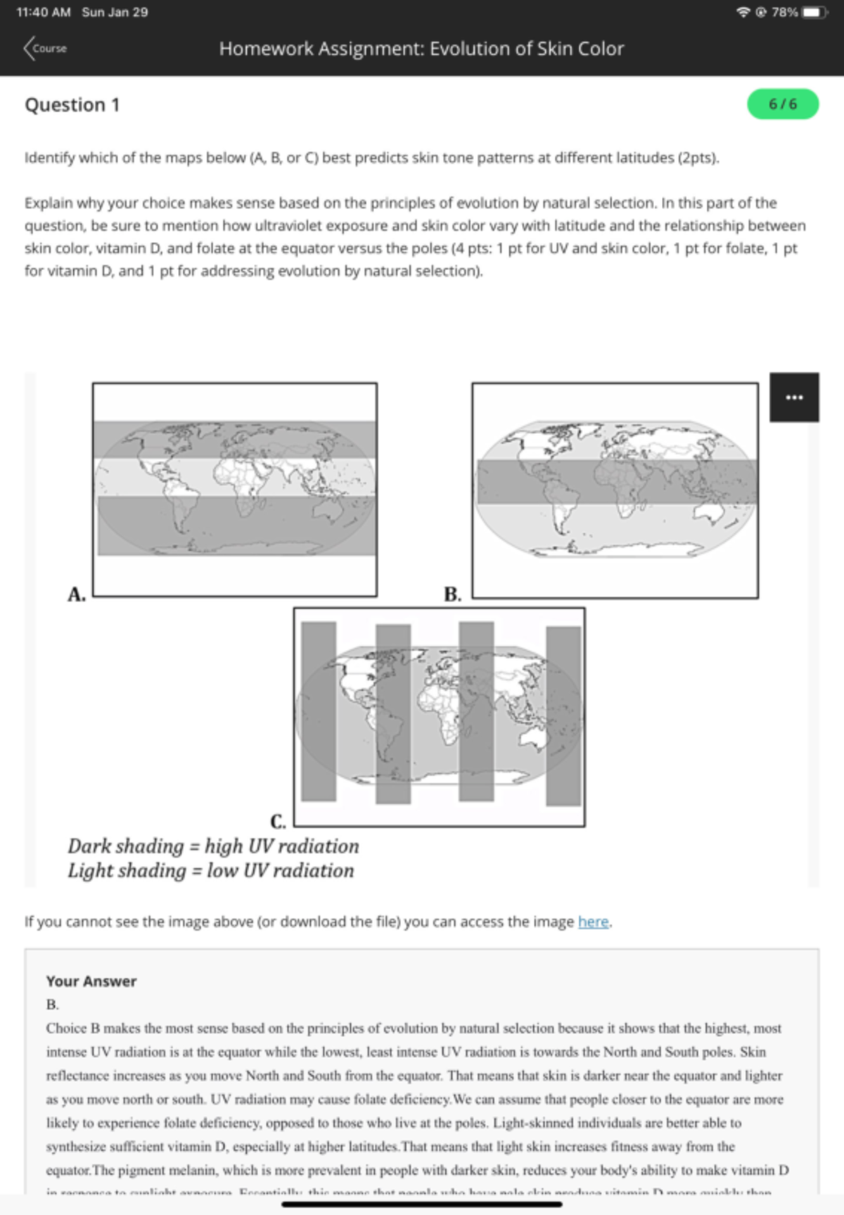 Evolution of Skin Color - BI 114 - Studocu