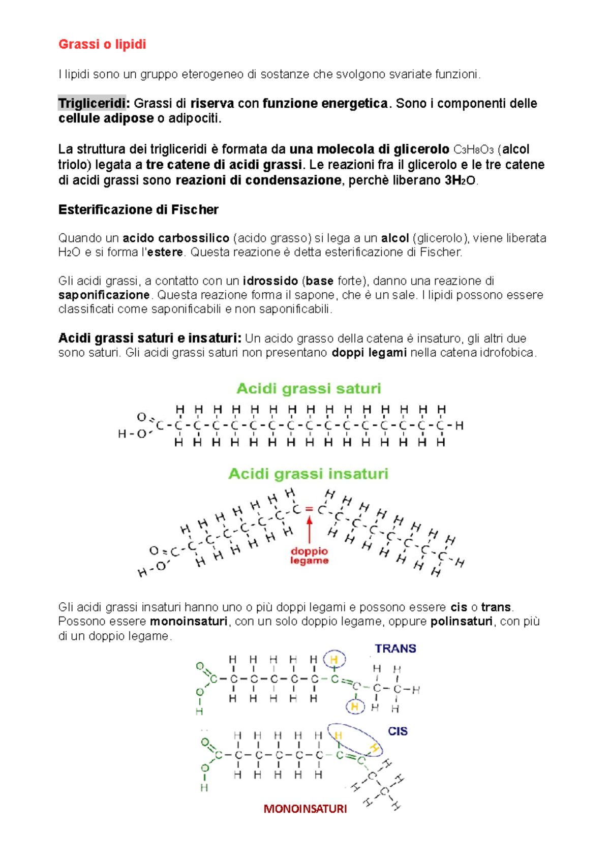 Grassi o lipidi - Trigliceridi: Grassi di riserva con funzione ...