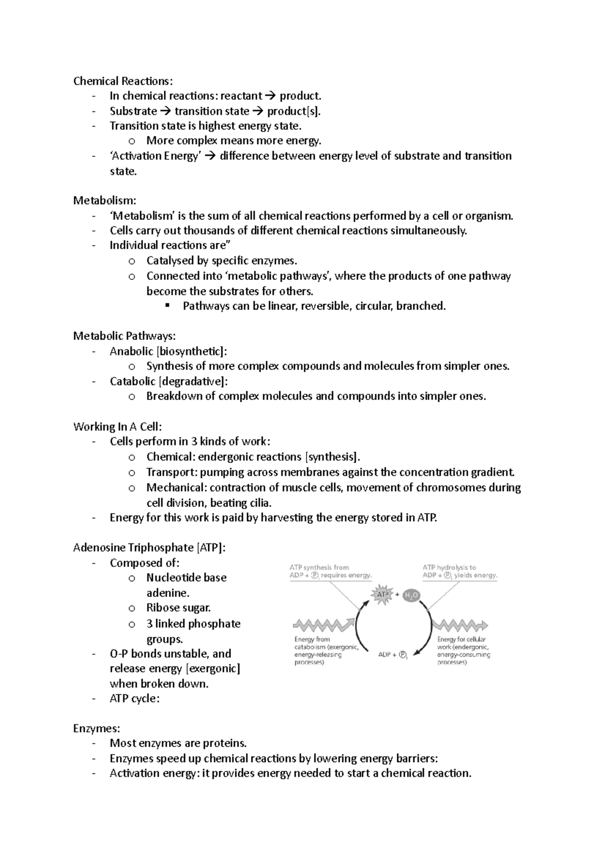 Bio week 3 content - Lecture notes 3 - Chemical Reactions: - In ...