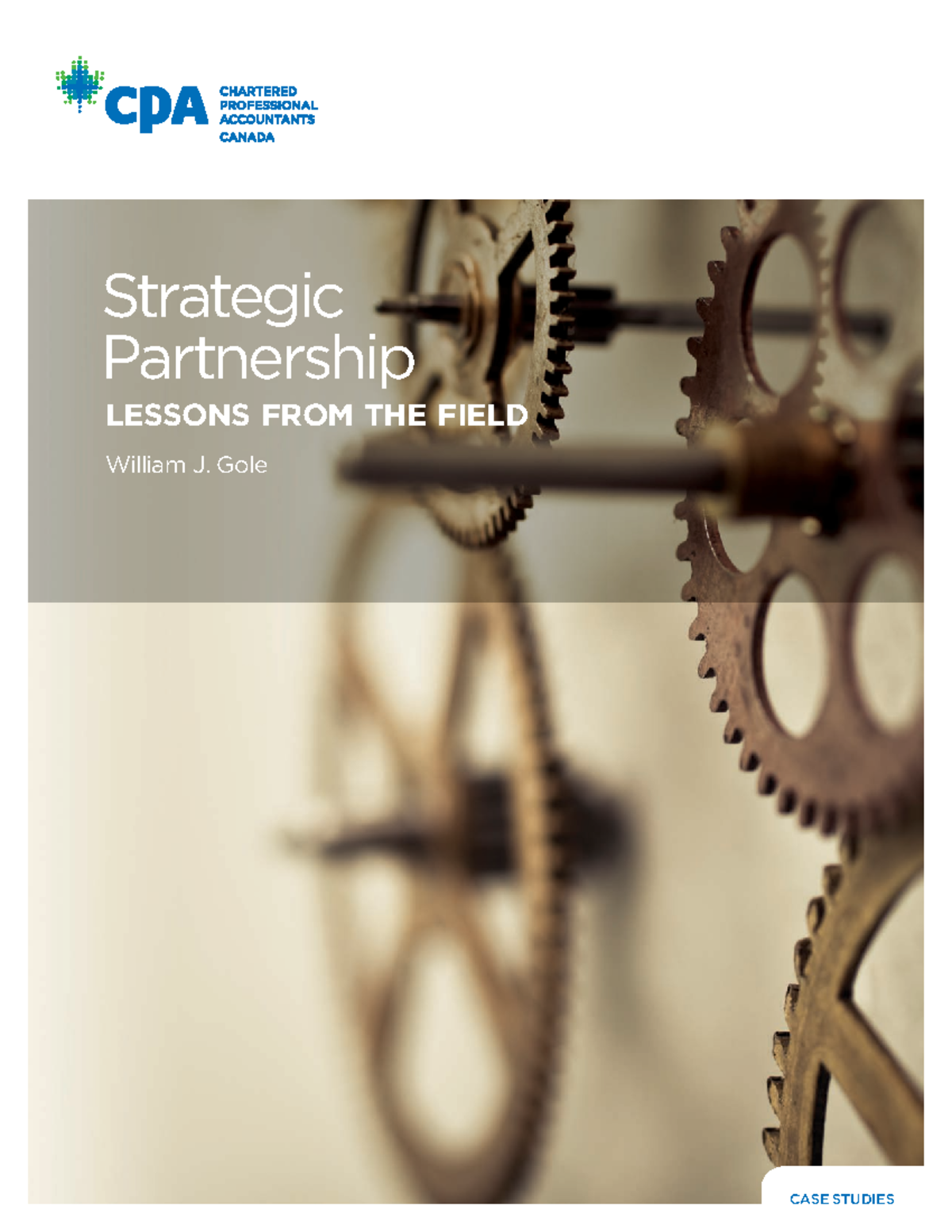 Strategic Partnership Case Studies 2014 - CASE STUDIES Strategic ...