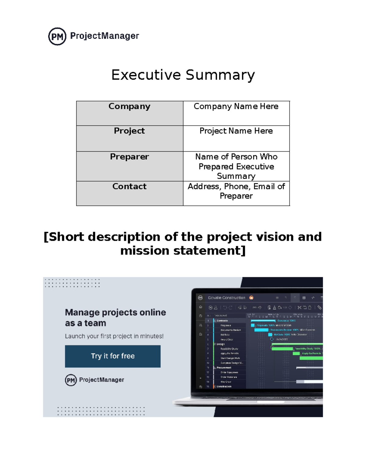 Project Manager Executive Summary Template WLNK 1 - Executive Summary ...