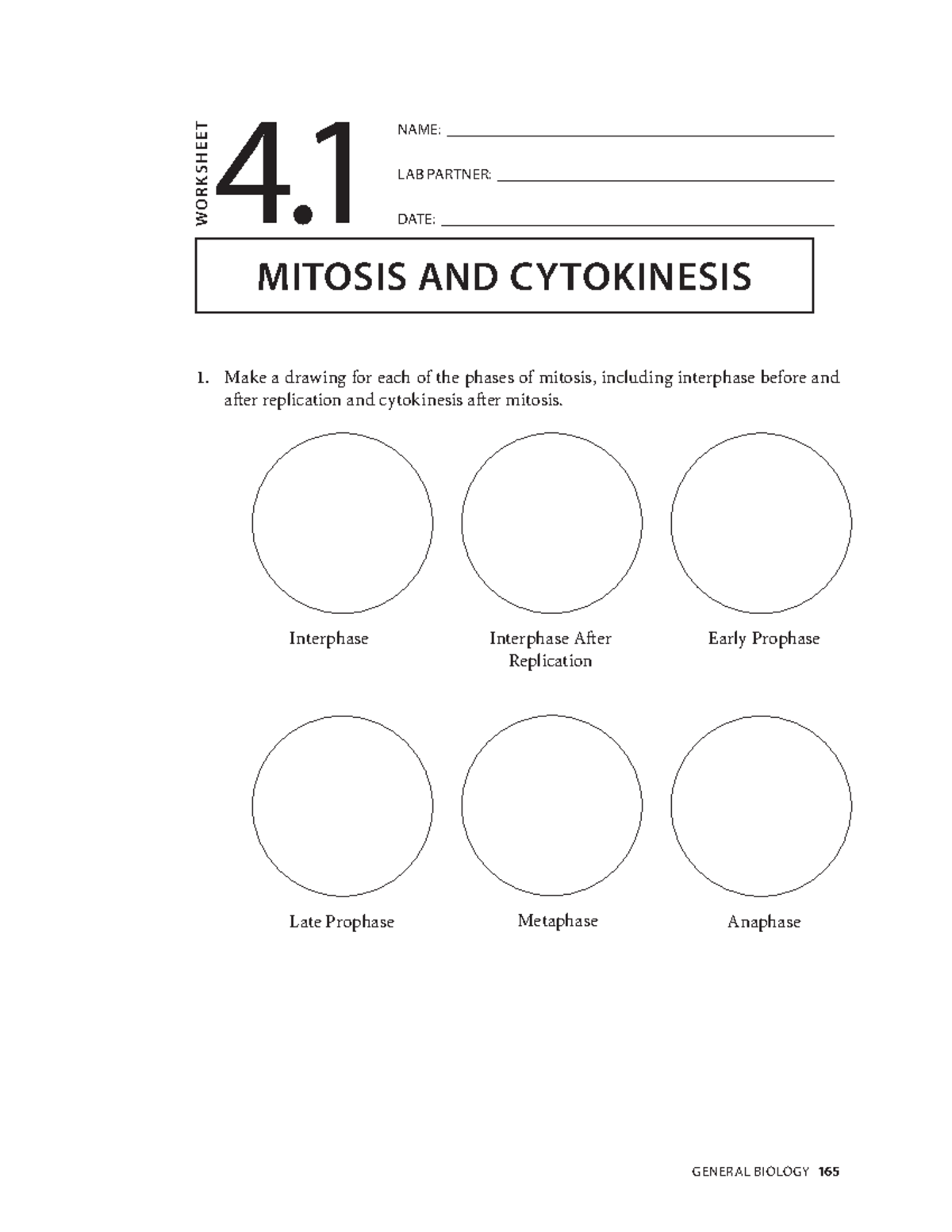 Lab 4 1 2 Mitosis Meiosis Worksheet - NAME: - Studocu