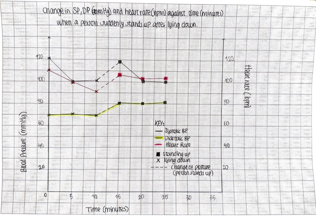 BP graph - PY4010 - Studocu
