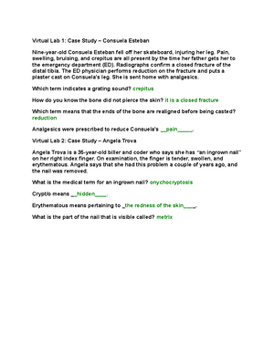 Week+4+Assignment+Worksheet - MOA115 Medical Records and Insurance Week ...